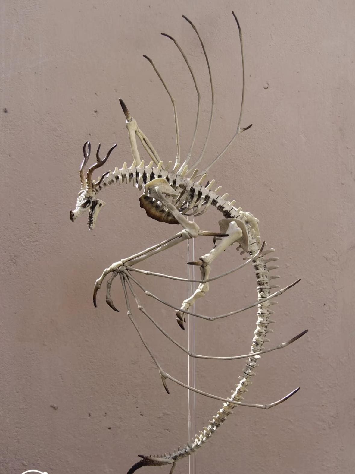 Andariel the Dragon Skeleton, Large Handmade Sculpture. Gothic Home ...