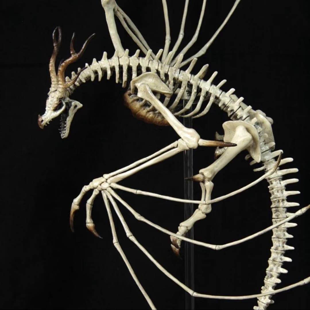 Andariel the Dragon Skeleton, Large Handmade Sculpture. Gothic Home ...