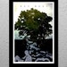 Shawshank Redemption - Get Busy Living - Original Art Poster 13x19 - Etsy