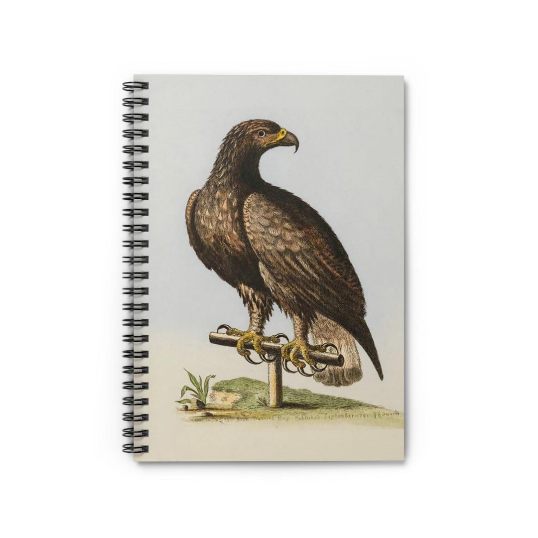 Vintage Eagle Spiral Notebook - Ruled Lines, Nature Journal, Wildlife ...