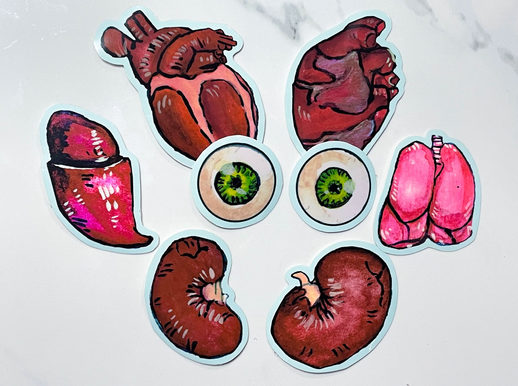 Human Organs Sticker Pack | Etsy
