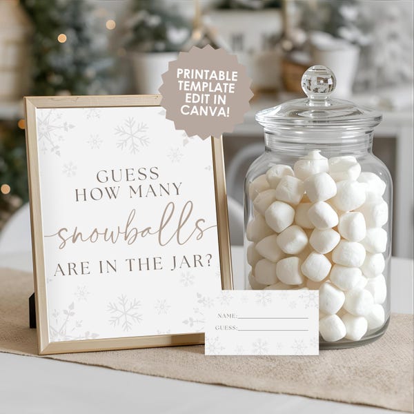 Winter Snowball Decor - Etsy