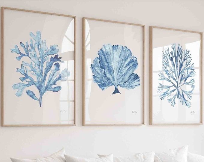 Navy Blue Coral Seaweed Wall Art Set of 3 Prints, Minimalist Watercolor ...