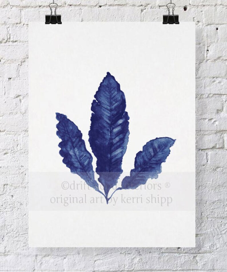 Sea Fan in Denim II Print 11x14 Sea Life Art Print Coral - Etsy