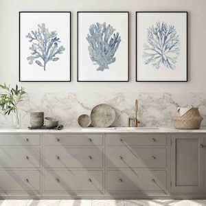 Blue Beige Coral Seaweed Print Set of 3 Minimalist Coastal Wall Decor ...