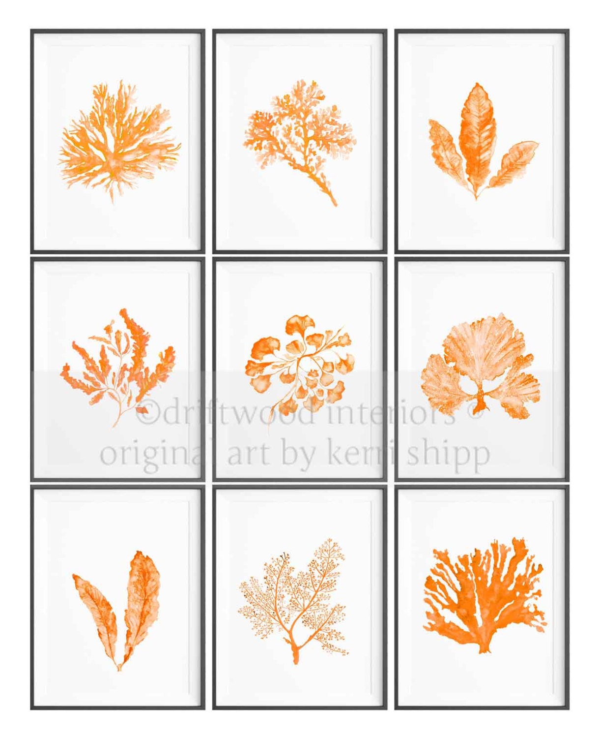 Sea Coral in Tangerine Print 8x10 Sea Coral Wall Art Print | Etsy