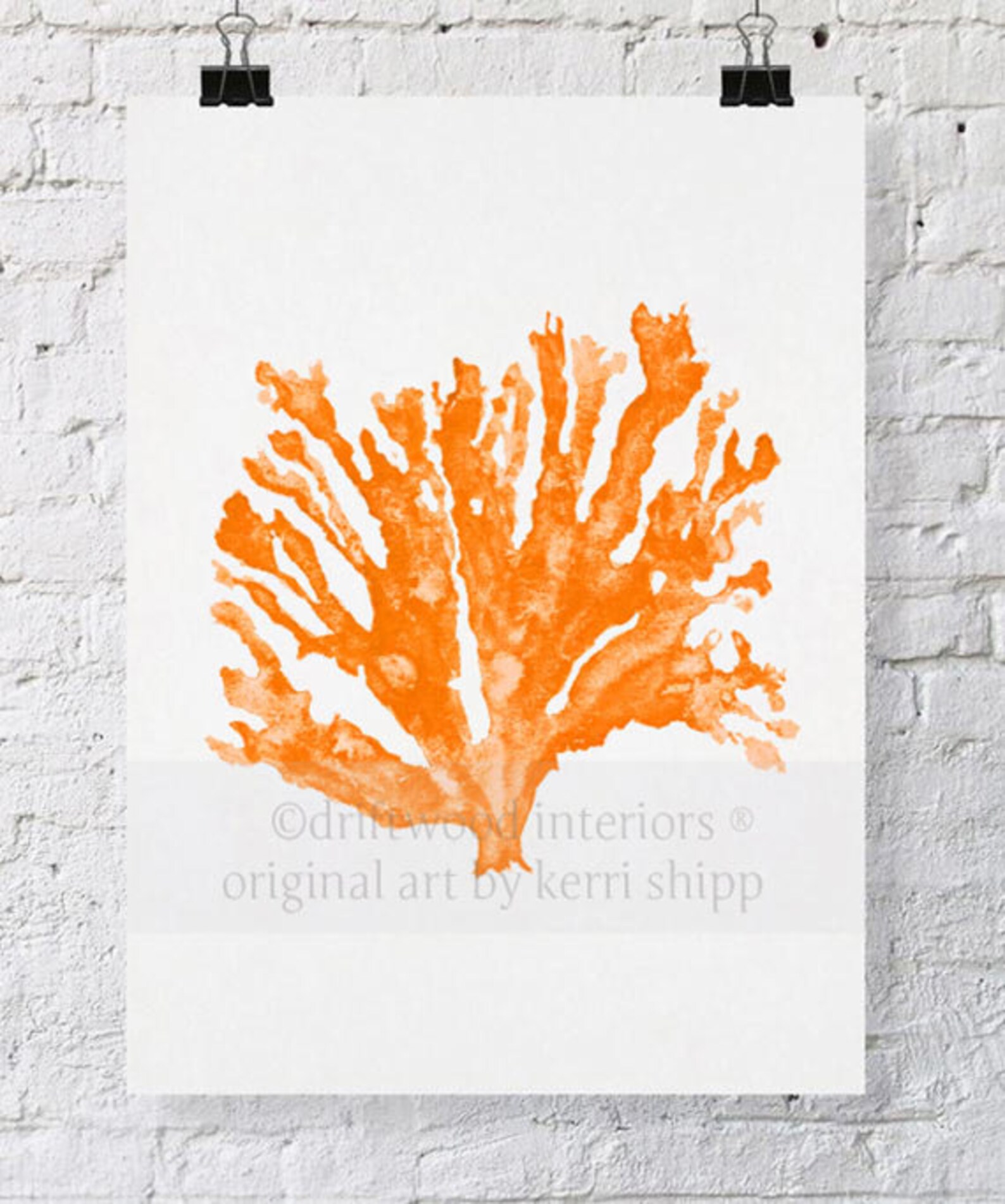 Sea Coral in Tangerine Print 8x10 Sea Coral Wall Art Print | Etsy