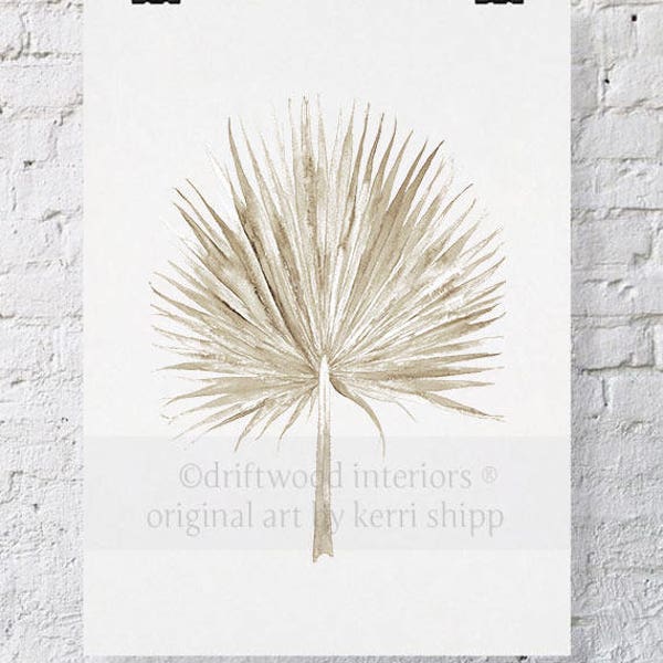 Fan Palm - Etsy