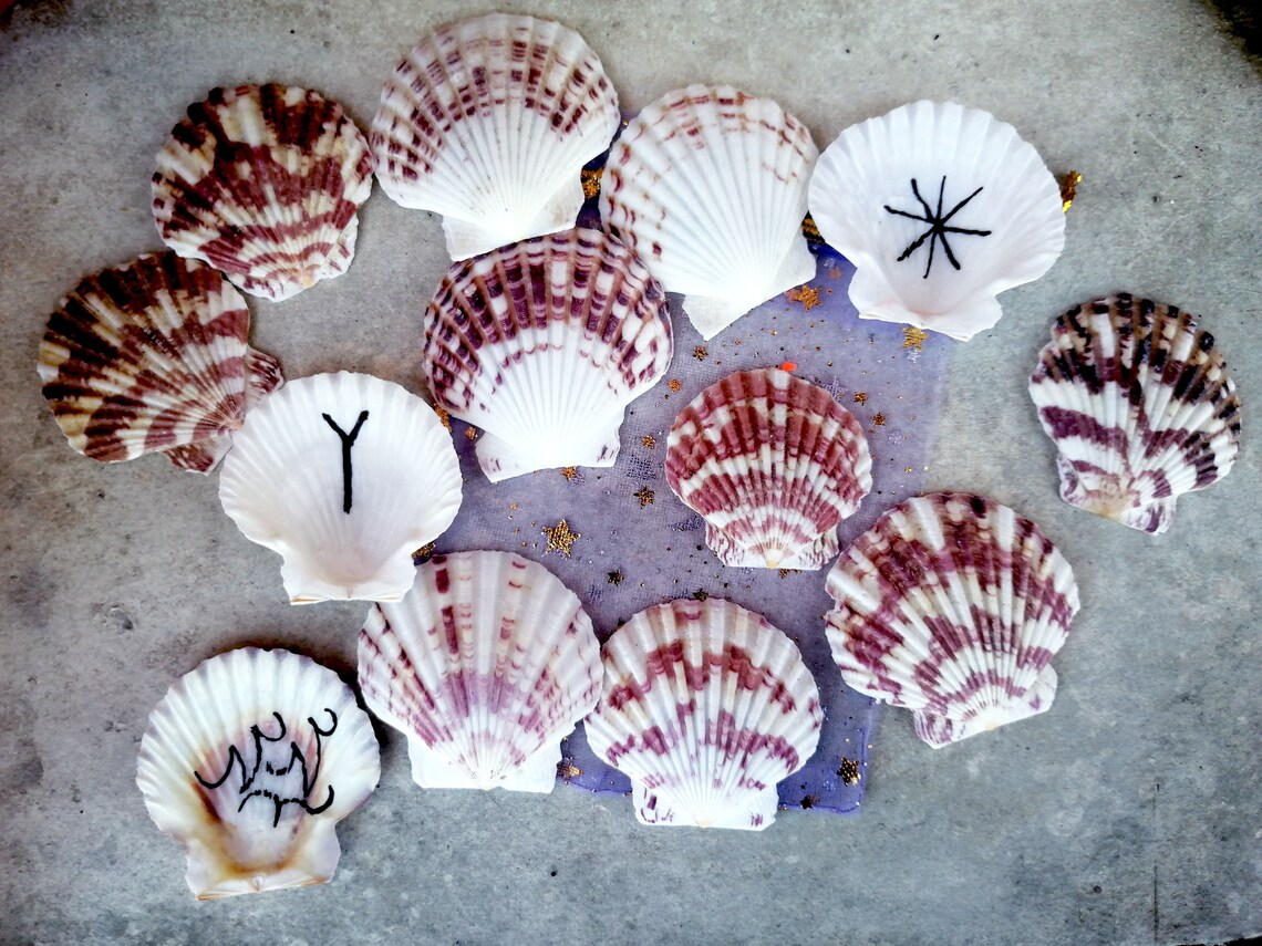 13 Sea Witches Shell Runes Free Shipping - Etsy
