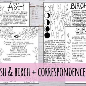 Book of Shadows: Trees Magick, 12 Trees for Magic Works and ...