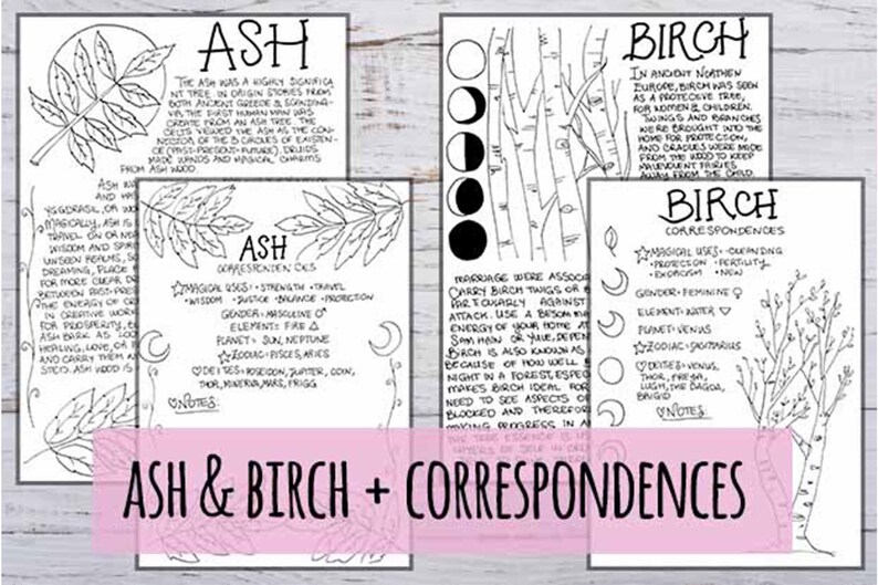 Book of Shadows: Trees Magick 12 Trees for Magic Works and - Etsy