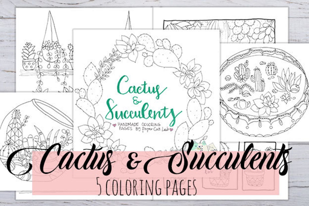 Cactus & Succulents – Hand-drawn Coloring Pages (set of 5) | 3 Sizes ...