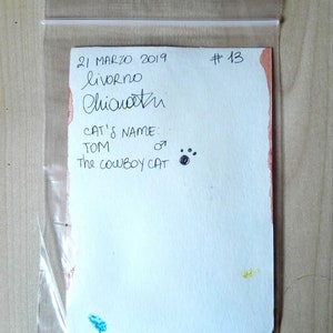 Tom the Cowboy Cat: Funny Cat Portrait Painting Watercolor - Etsy