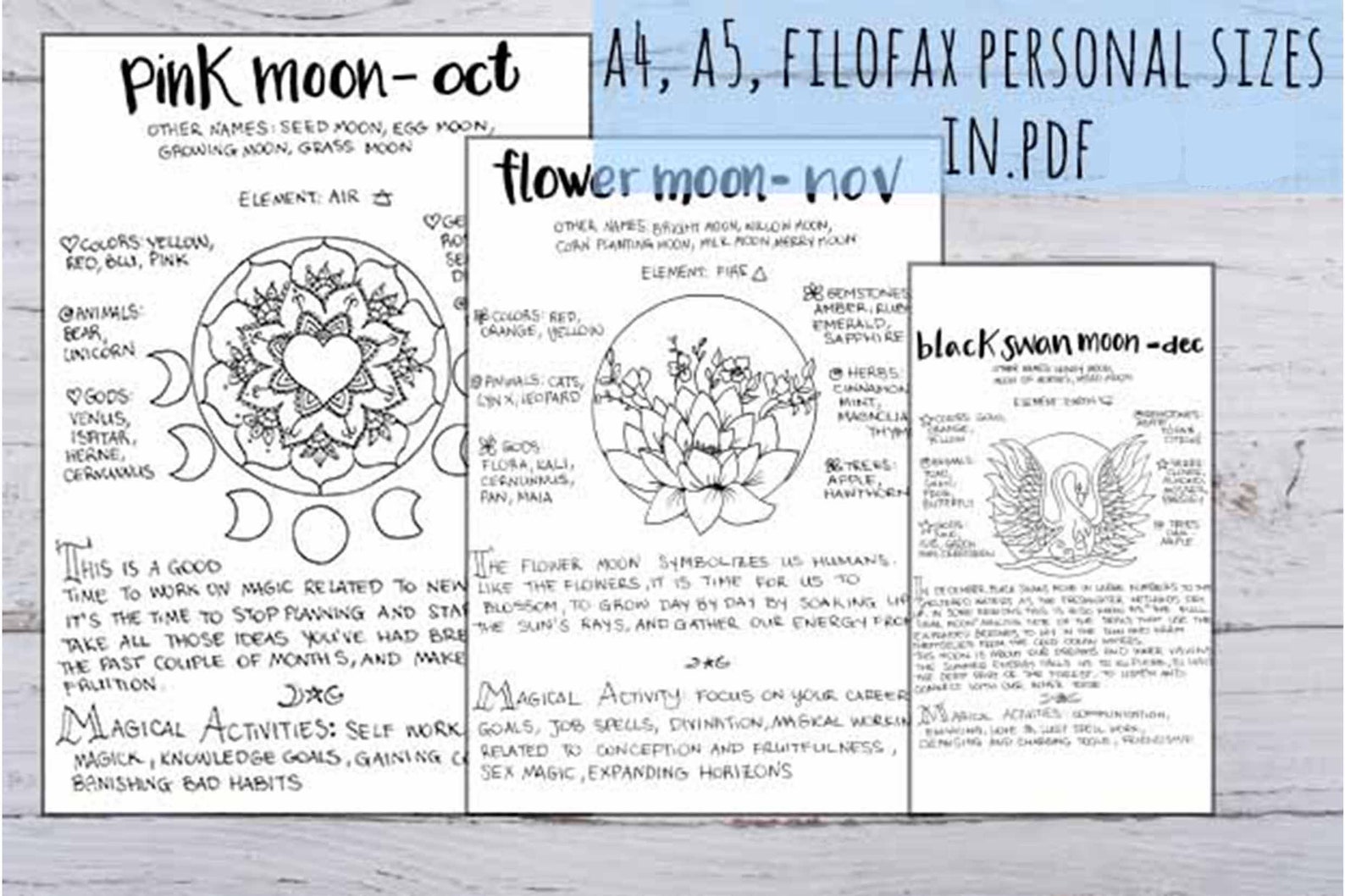 Book of Shadows for Southern Hemisphere: 12 Full Moons, Esbat ...