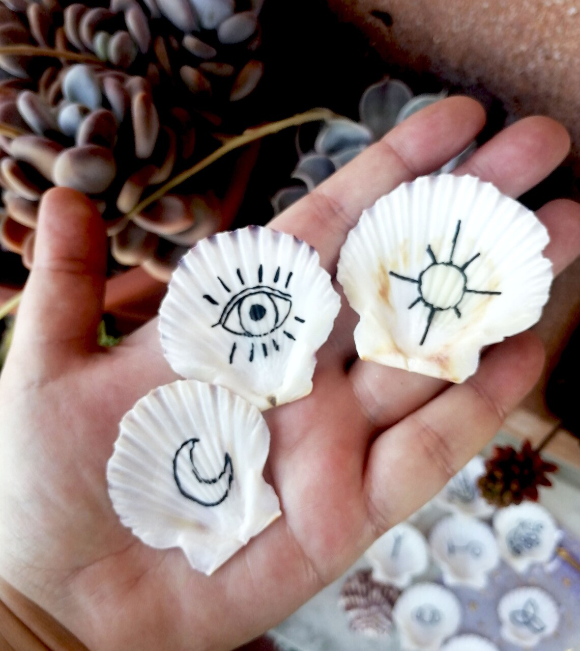 13 Sea Witches Shell Runes Free Shipping - Etsy