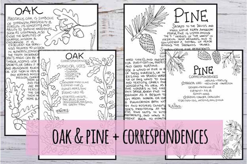 Book of Shadows: Trees Magick 12 Trees for Magic Works and - Etsy