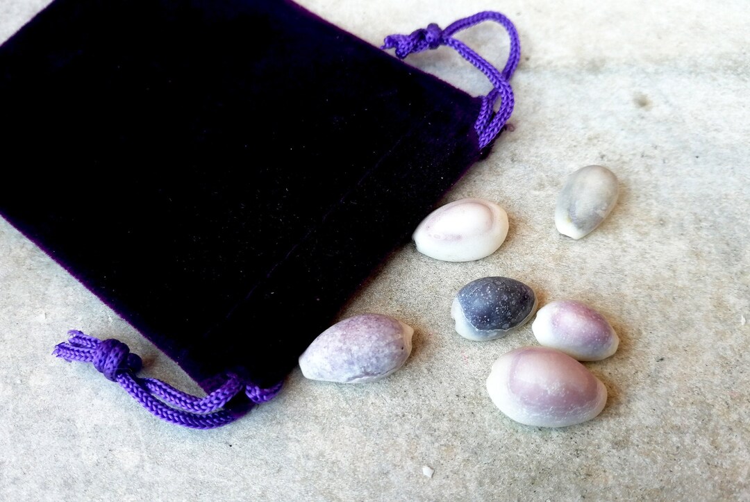 Natural Cowrie Shells divination Witchcraft Hoodoo a Set of 6 With Bag ...