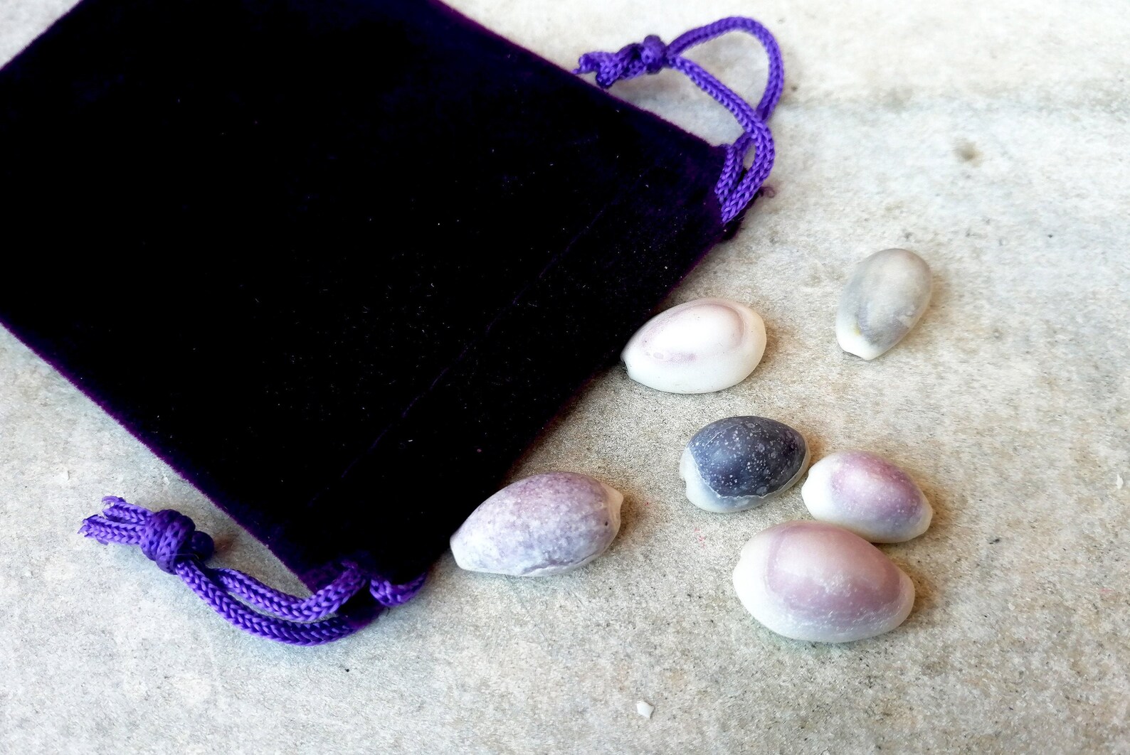 Natural Cowrie Shells divination Witchcraft Hoodoo a - Etsy