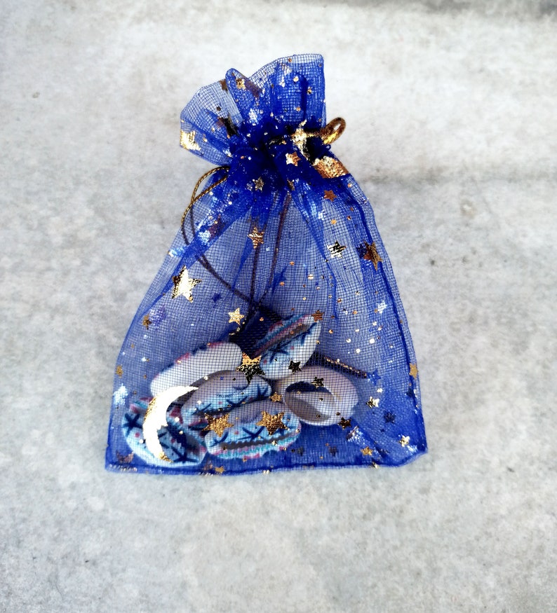 Cowrie Shells divination Witchcraft Hoodoo Hand - Etsy