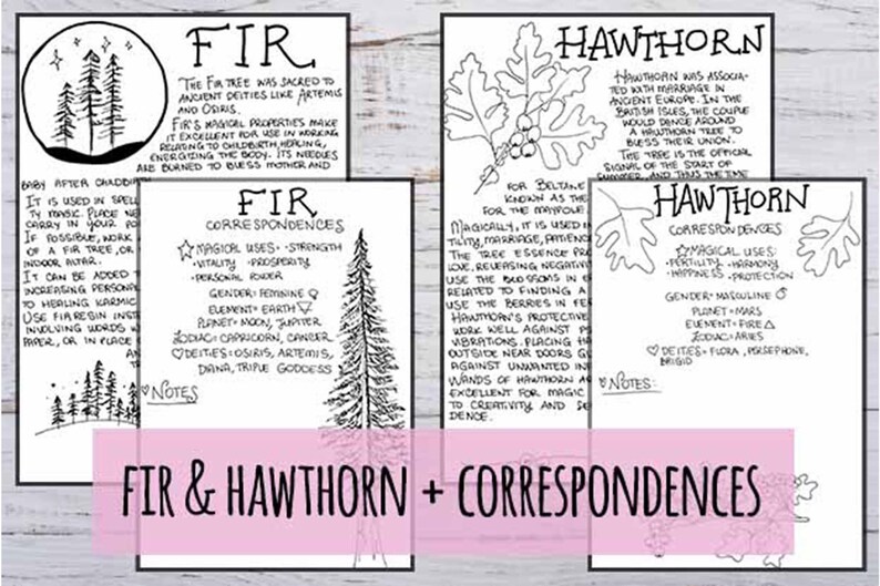 Book of Shadows: Trees Magick 12 Trees for Magic Works and - Etsy