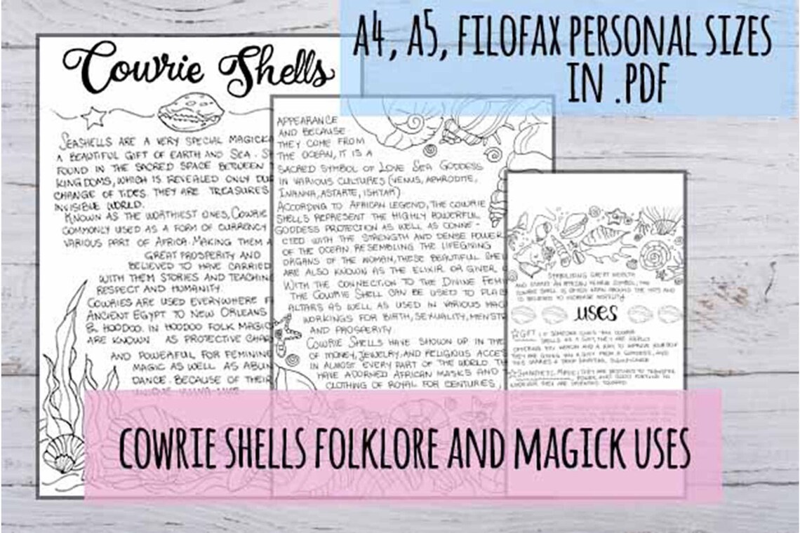 Book of Shadows: Cowrie Shells Magick Uses and Divination - Etsy