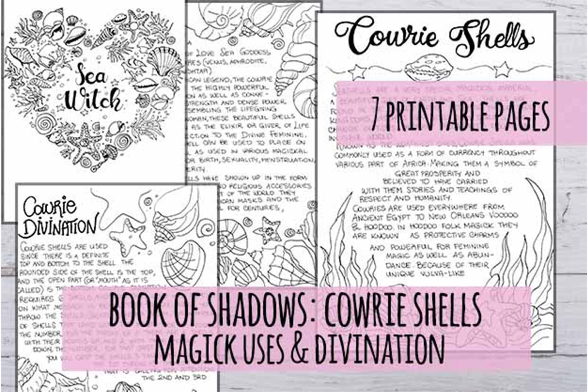 Book of Shadows: Cowrie Shells Magick Uses and Divination - Etsy