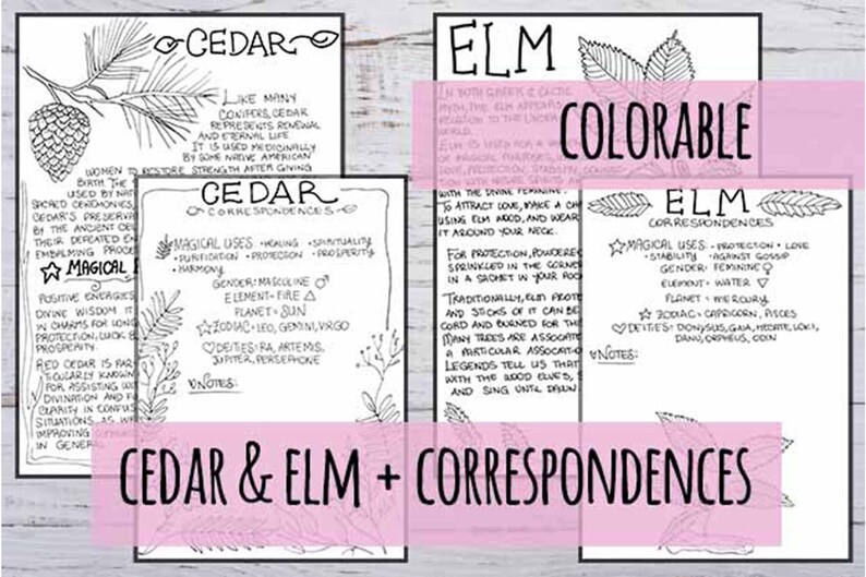 Book of Shadows: Trees Magick 12 Trees for Magic Works and - Etsy