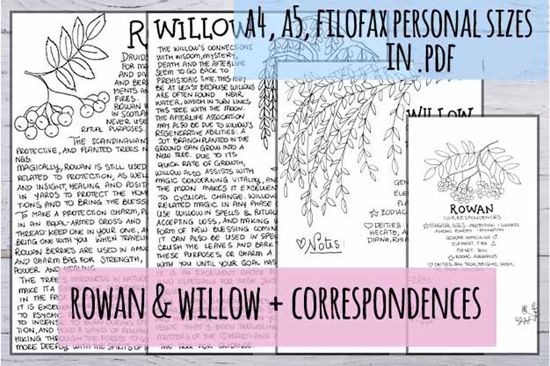 Book of Shadows: Trees Magick 12 Trees for Magic Works and - Etsy