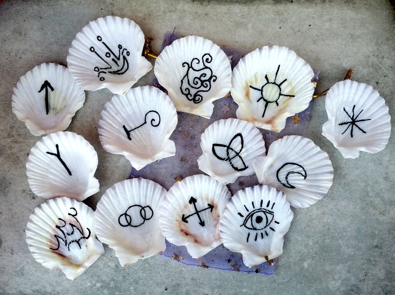 13 Sea Witches Shell Runes Free Shipping - Etsy