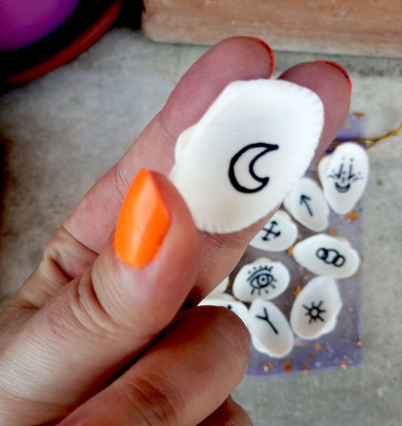 13 Sea Witches Shell Runes Free Shipping | Etsy