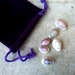 Natural Cowrie Shells divination Witchcraft Hoodoo a Set of 6 With Bag ...