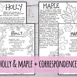 Book of Shadows: Trees Magick, 12 Trees for Magic Works and ...