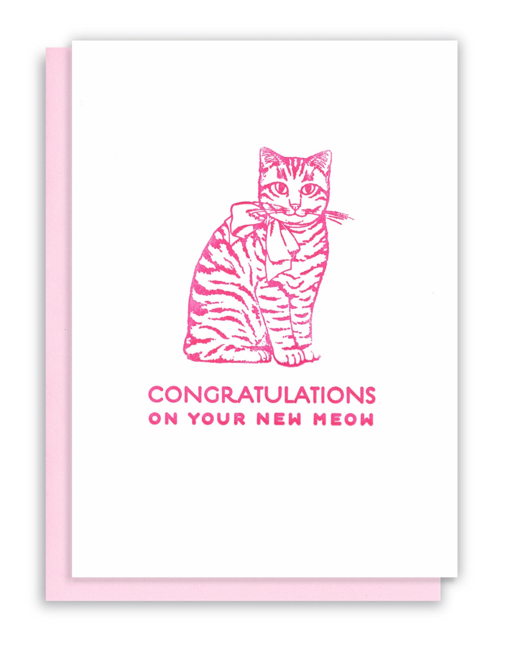 Congratulations Kitty