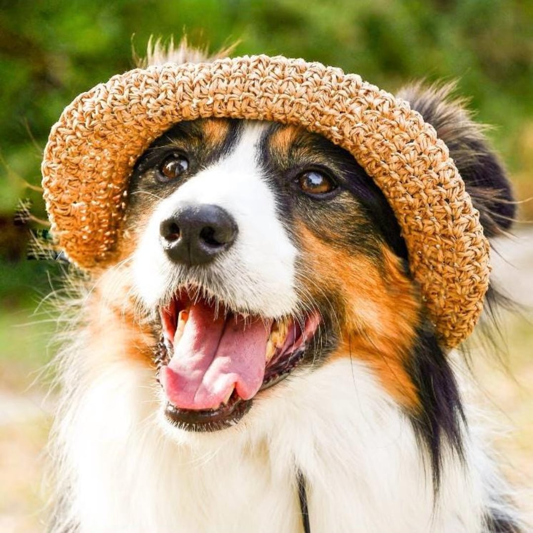 Handwoven Dog Straw Hat: Black Trim, UV Protection Sun Wear, Summer Hat ...
