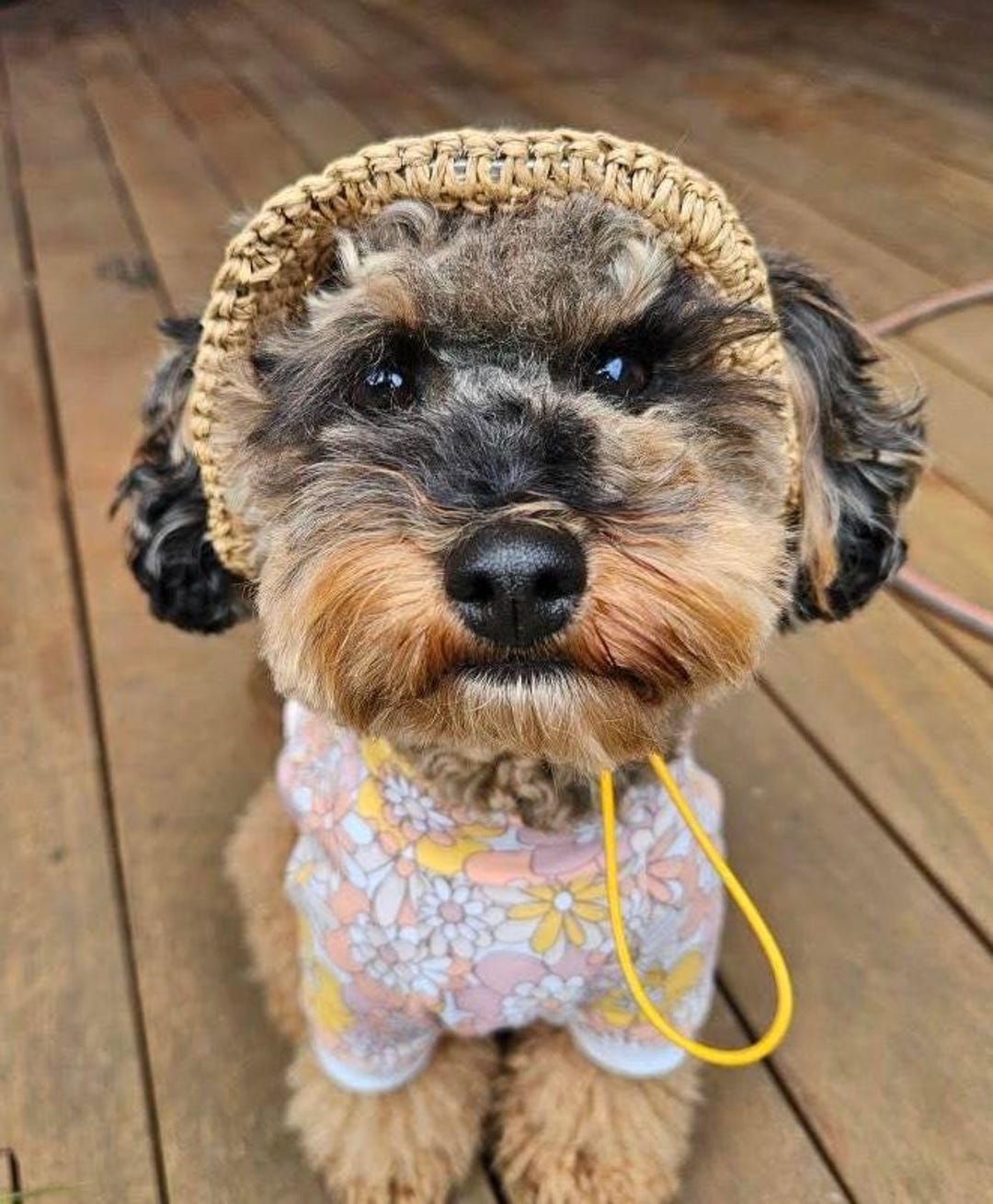 Handwoven Dog Straw Hat: Yellow Trim, UV Protection Straw Wide Brim ...