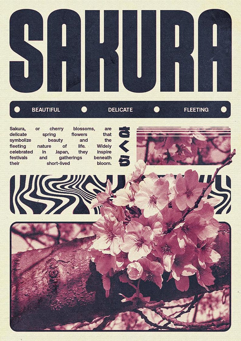 Sakura Poster - A3 Size - Etsy