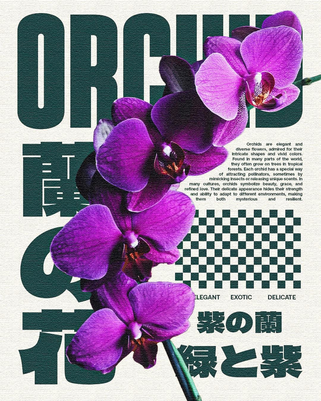 Orchid Poster - Original Size 1350 X 1080 - Etsy
