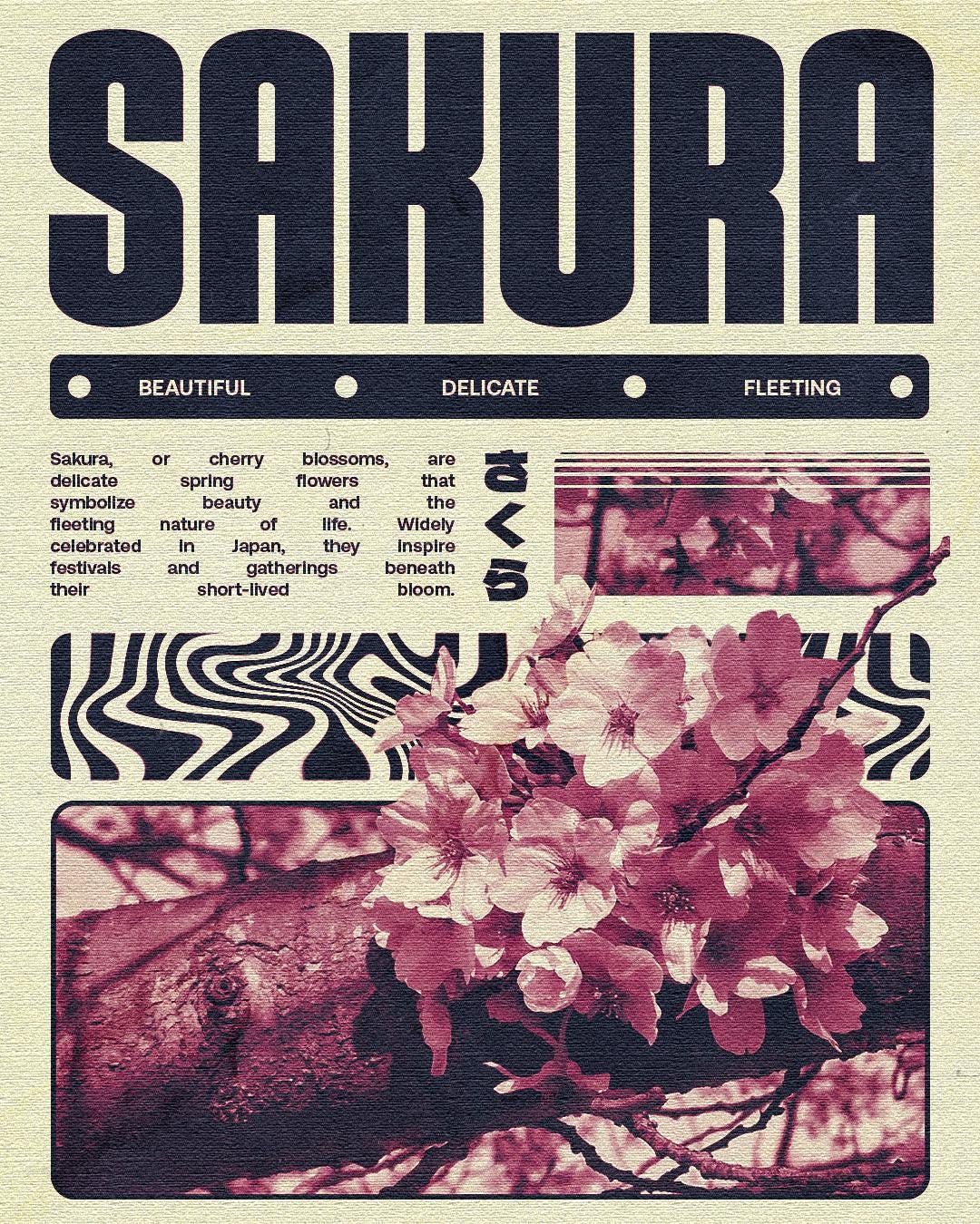 Sakura Poster - Original Size 1350 X 1080 - Etsy