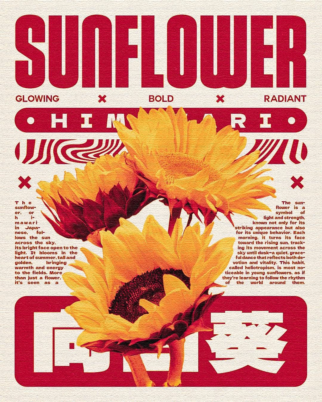 Sunflower Poster - Original Size 1350 X 1080 - Etsy