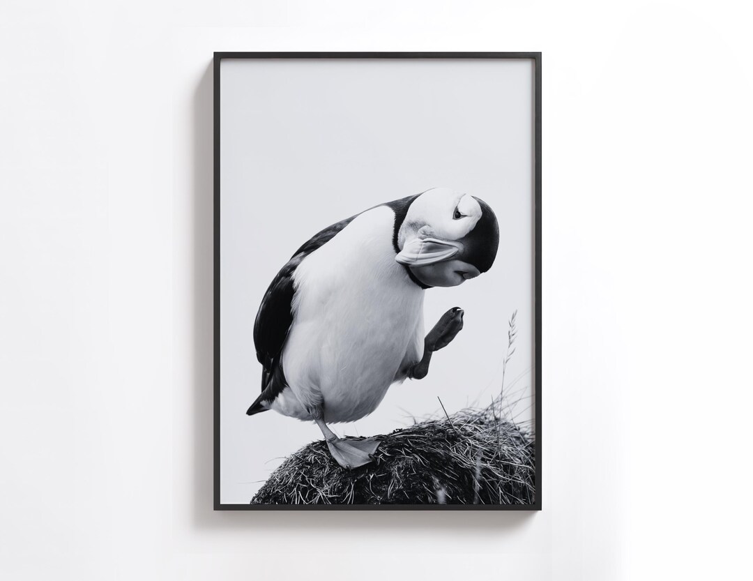 Puffin Wave – Black & White Coastal Bird Photography Print, Minimal ...