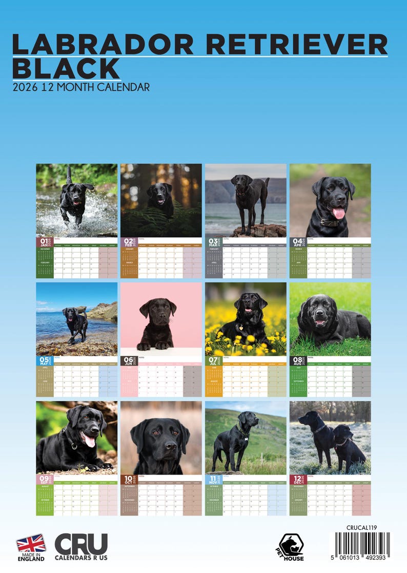 Labrador Retriever Black 2026 A3 Calendar - Etsy UK