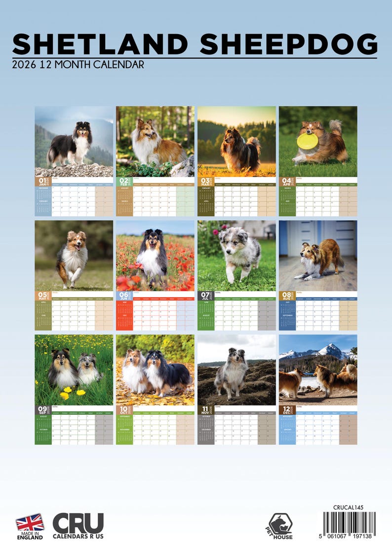 Shetland Sheepdog 2026 A3 Calendar - Etsy Canada