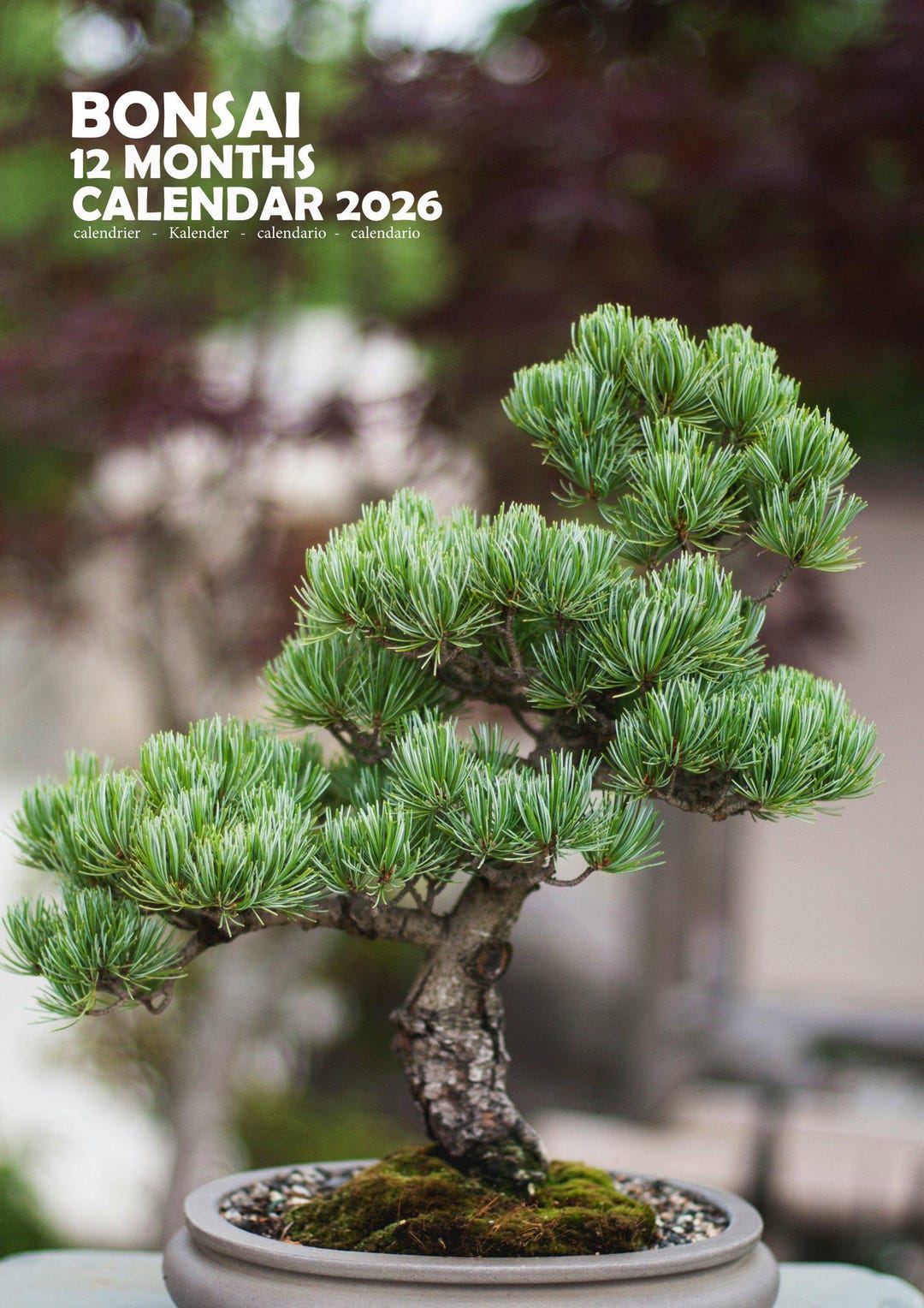 Bonsai 2026 A3 Calendar (M) - Etsy UK