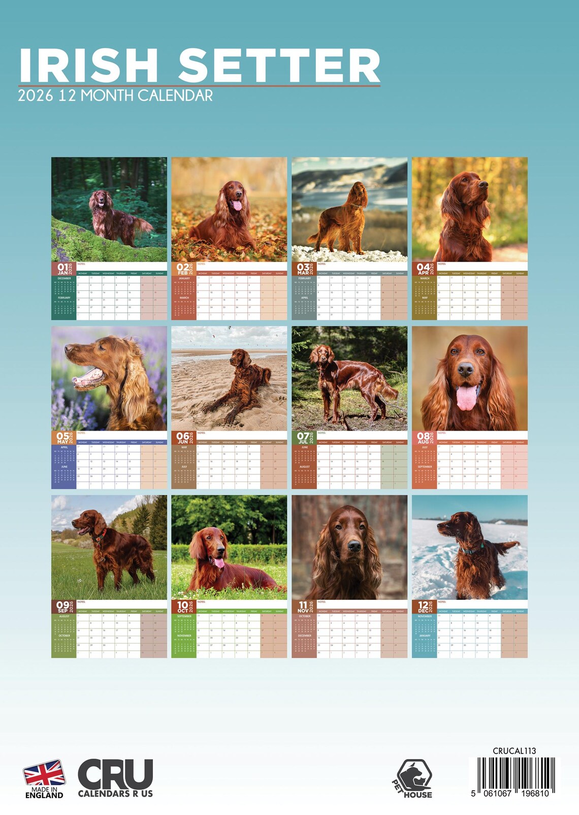 Irish Setter 2026 A3 Calendar - Etsy