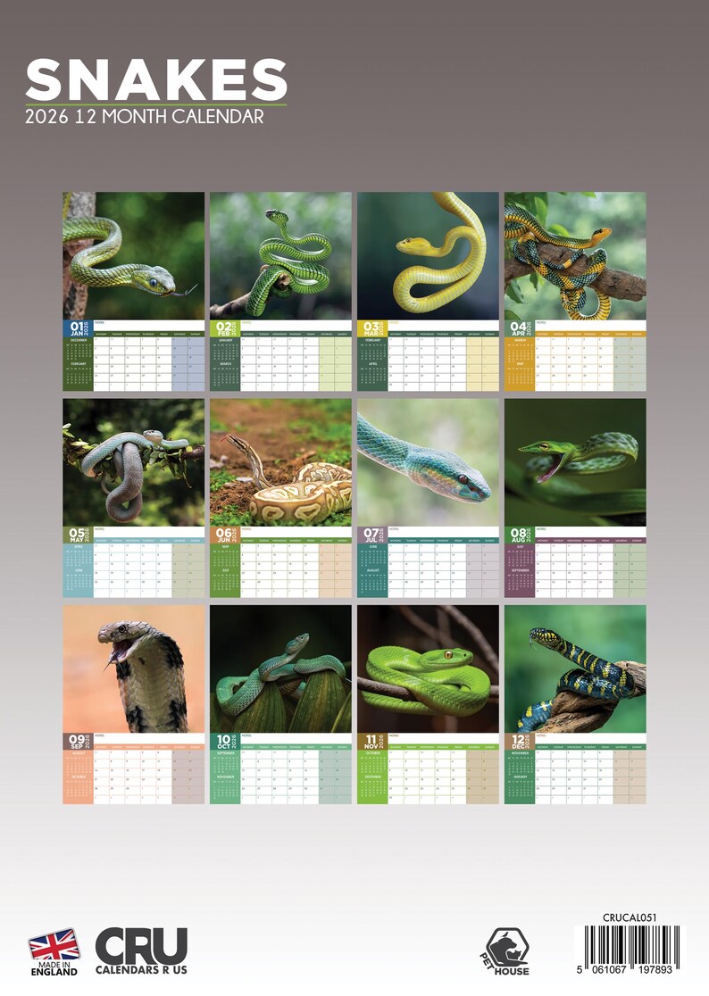 Snakes 2026 A3 Calendar - Etsy