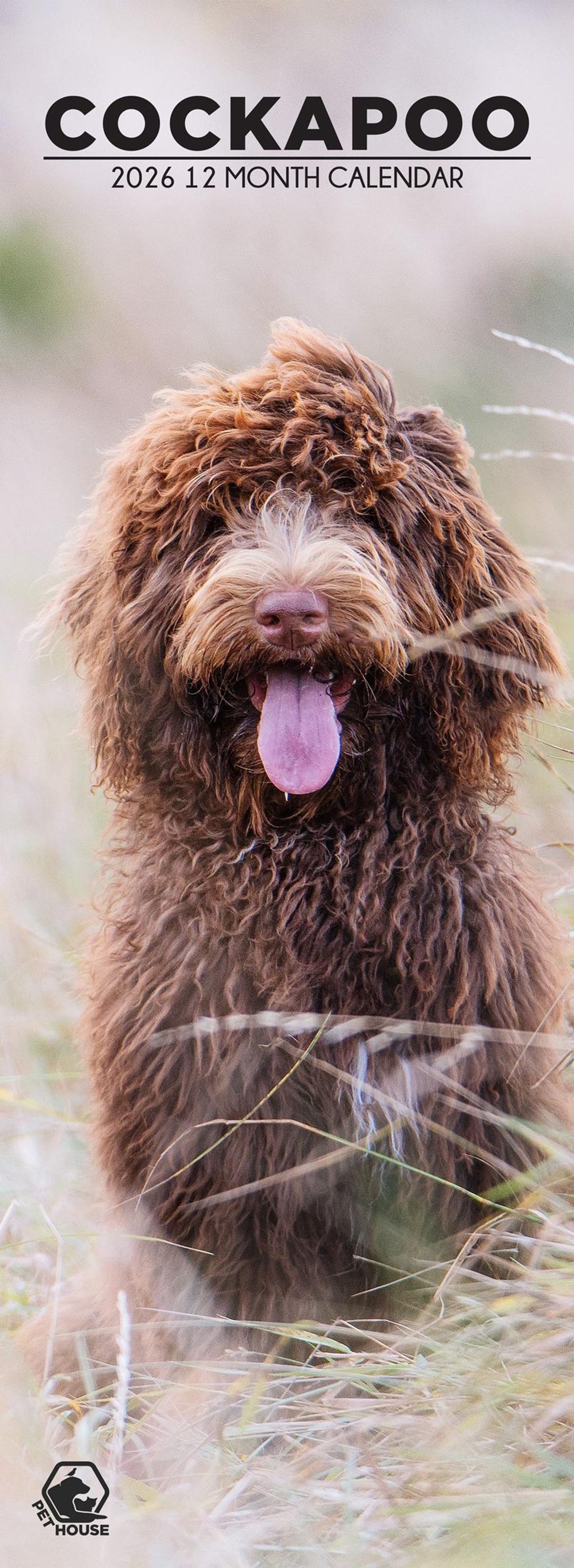 Cockapoo Dogs 2026 Slim Calendar 15x42cm - Etsy