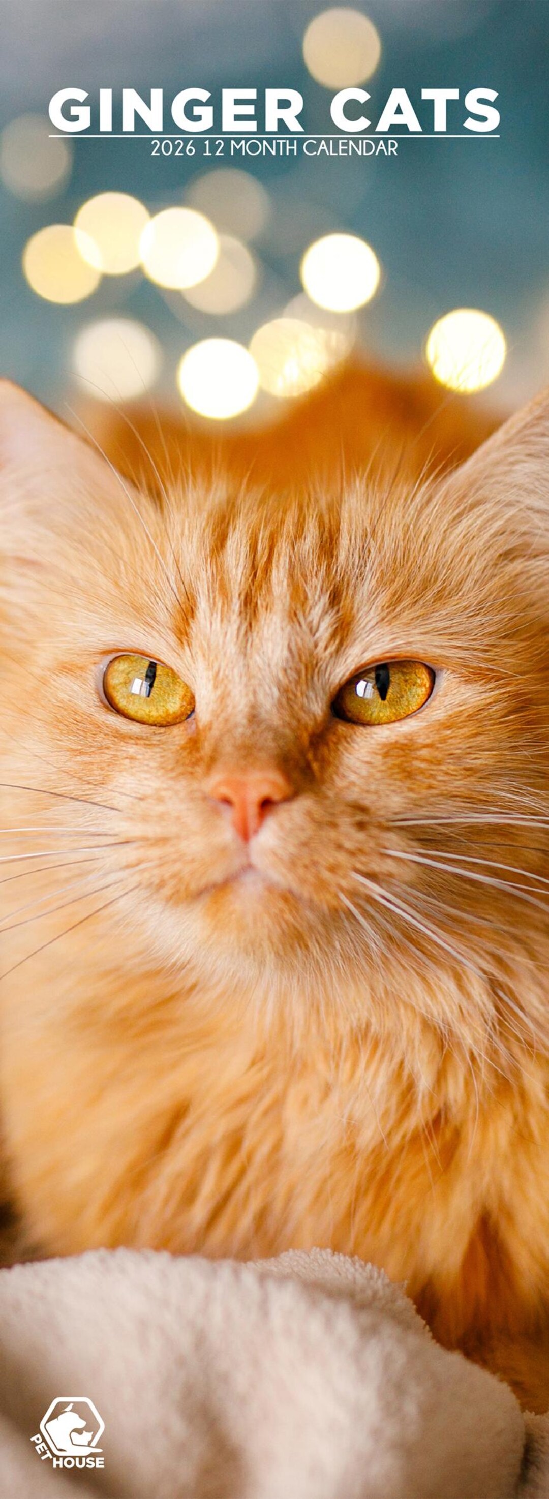 Ginger Cats 2026 Slim Calendar 15x42cm - Etsy