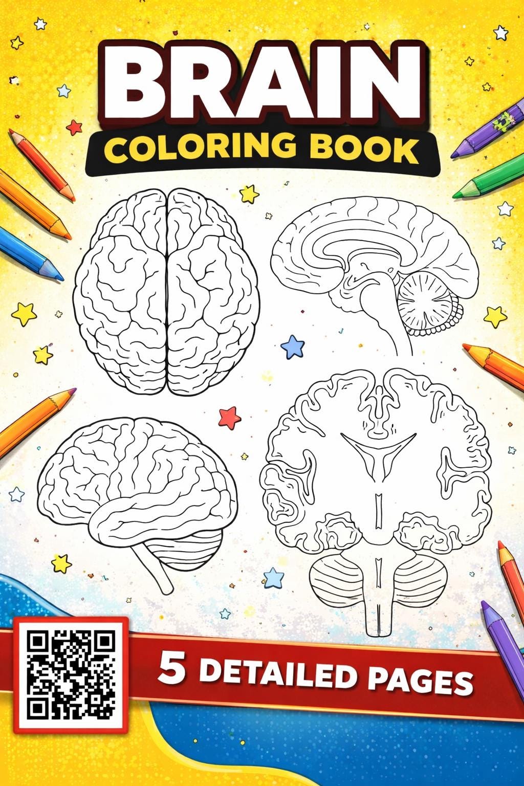 Brain Anatomy Coloring Pages – Neuro Study Sheets (digital Download) - Etsy
