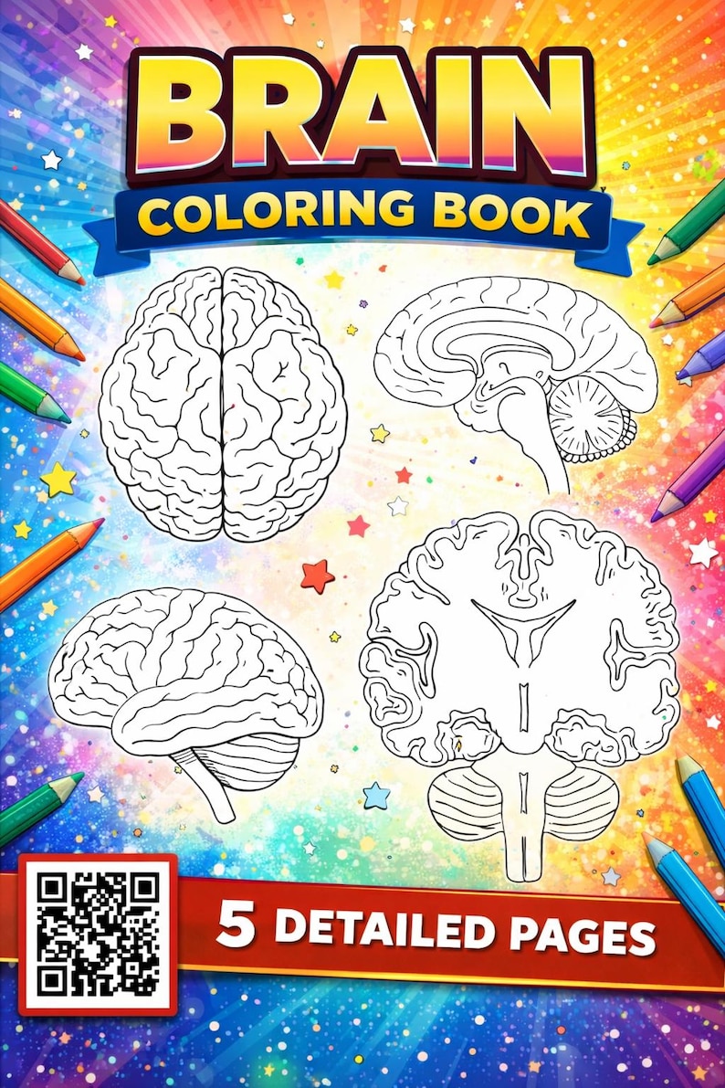 Brain Anatomy Coloring Pages – Neuro Study Sheets (digital Download) - Etsy