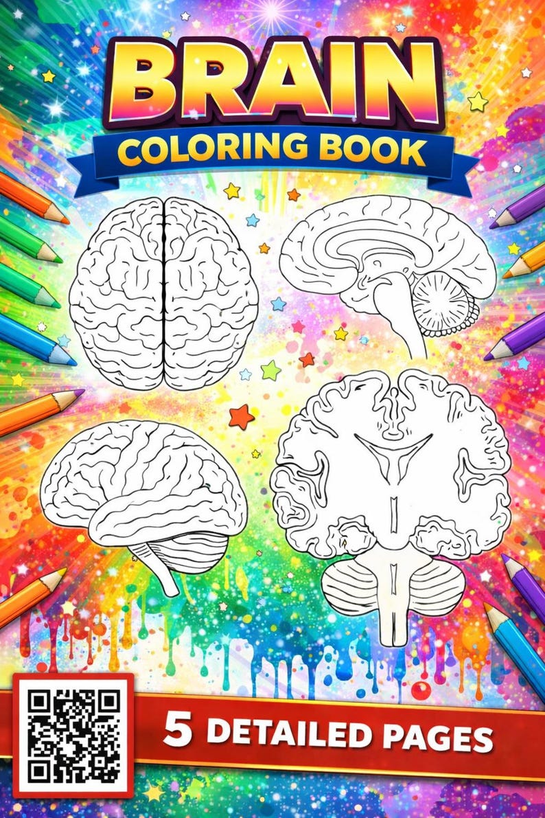 Brain Anatomy Coloring Pages – Neuro Study Sheets (digital Download) - Etsy